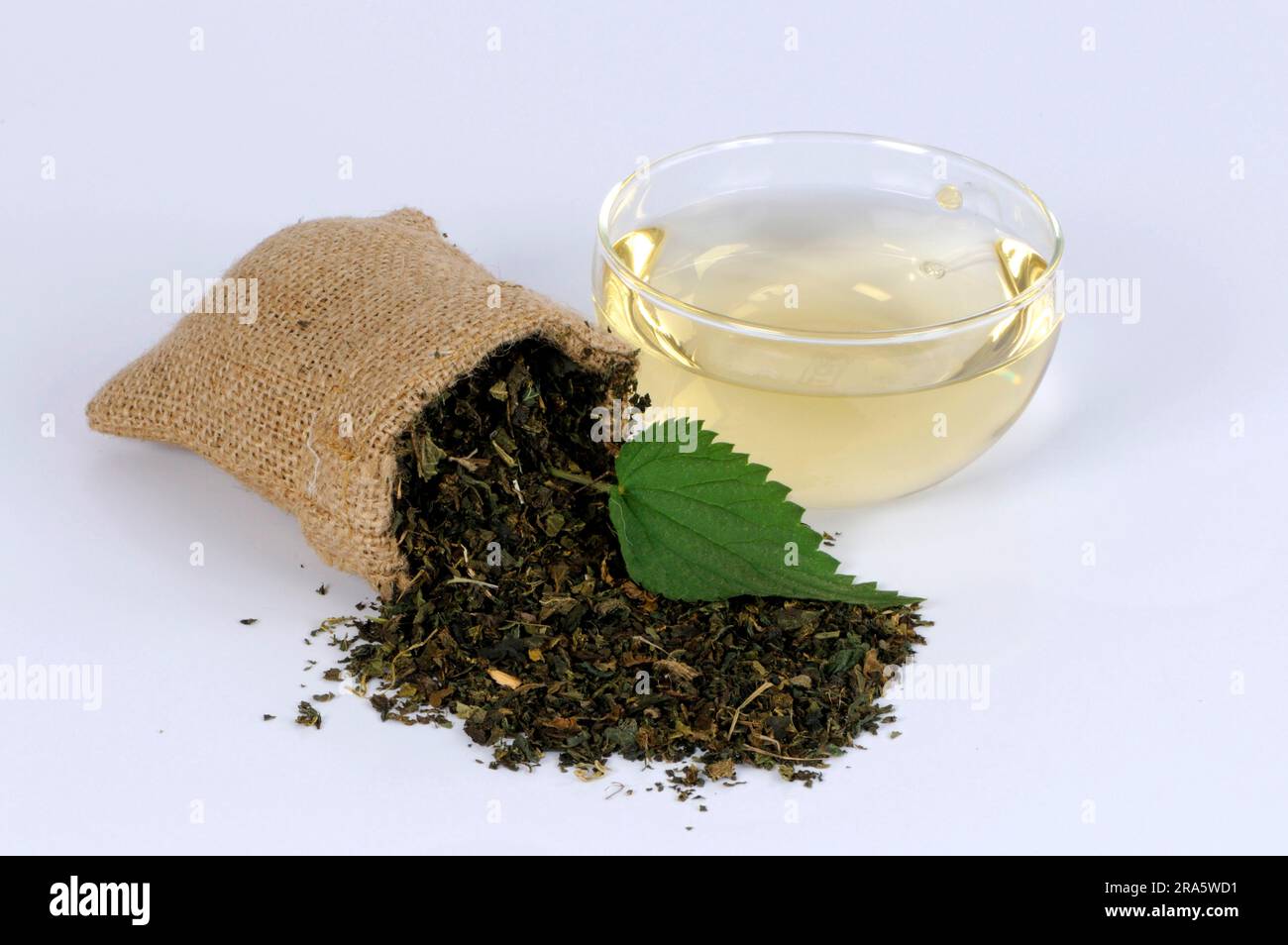Nettle, dried, and cup of nettle tea (Urtica dioica Stock Photo - Alamy