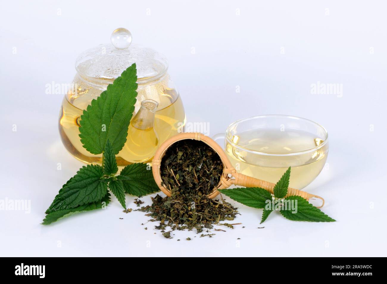 Nettle, dried, and cup and teapot of nettle tea (Urtica dioica Stock ...