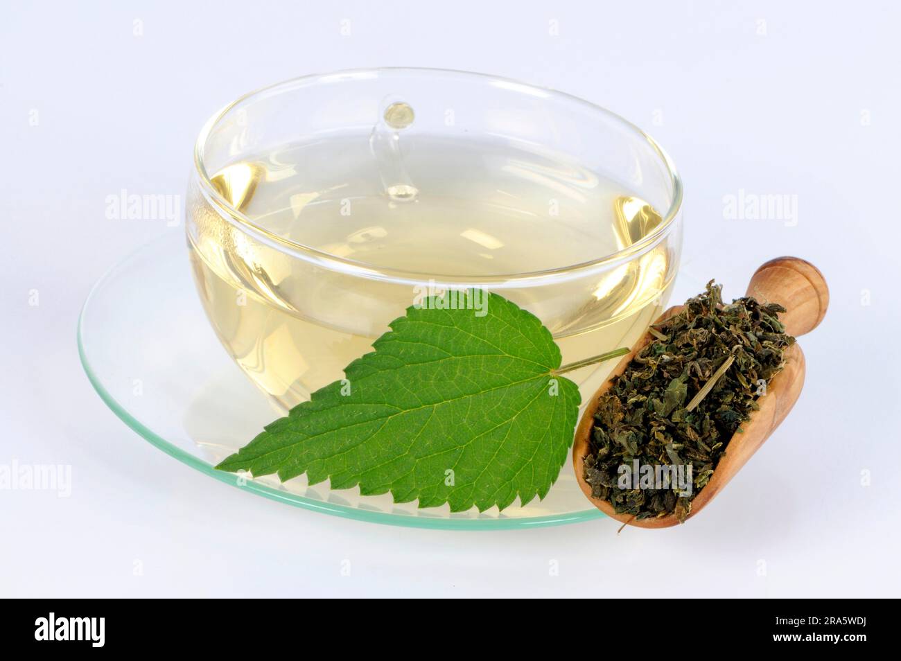 Nettle tea cup hi-res stock photography and images - Alamy