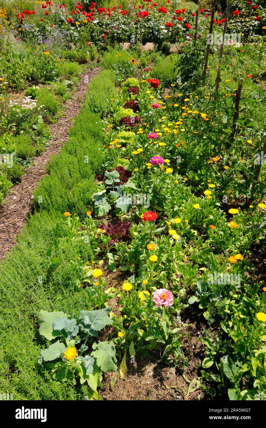 Fulda monastery garden hi-res stock photography and images - Alamy