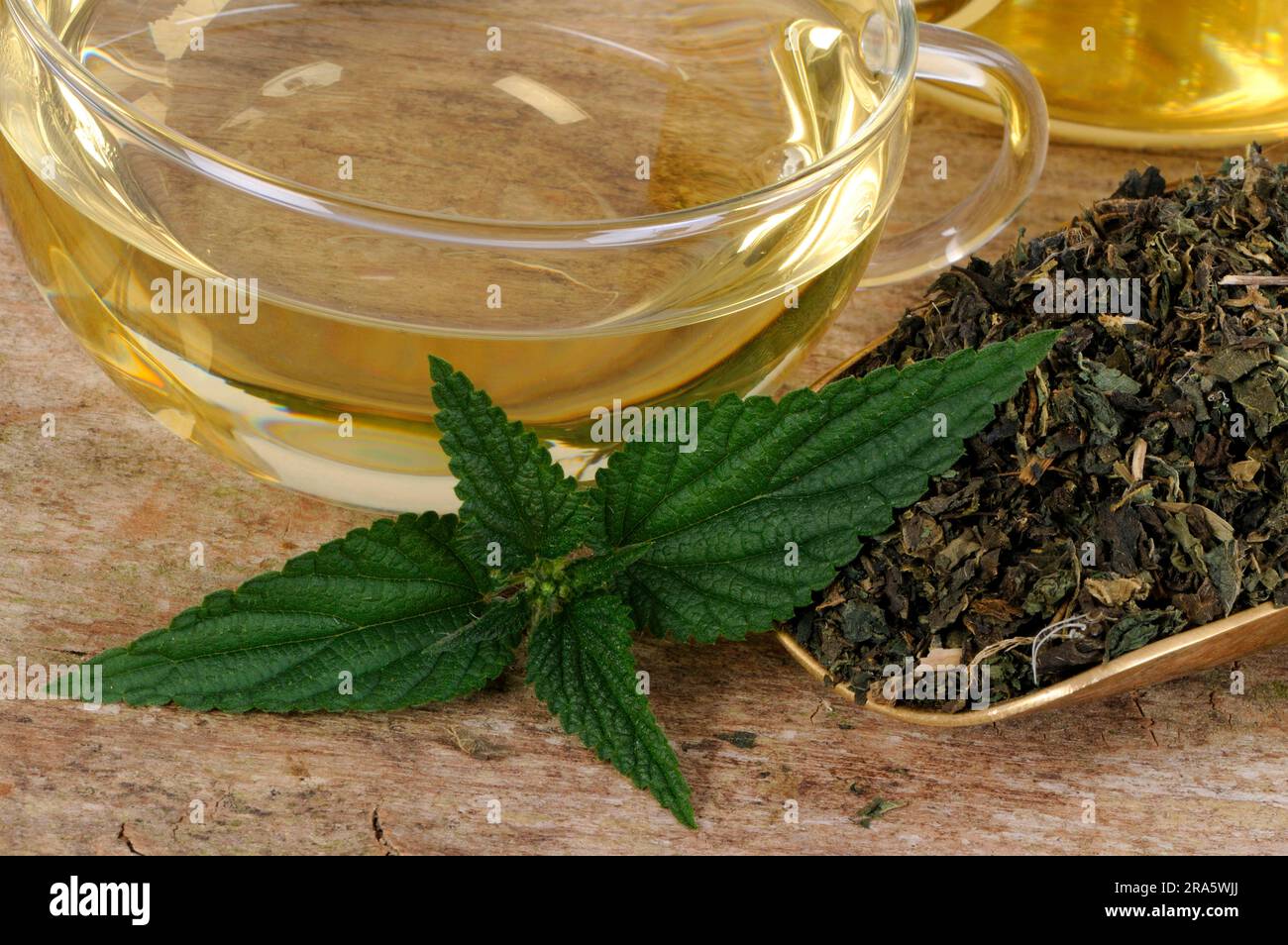 Nettle tea cup hi-res stock photography and images - Alamy