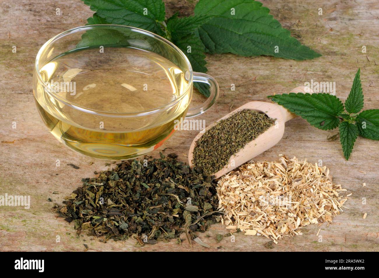 Nettle seeds hi-res stock photography and images - Alamy