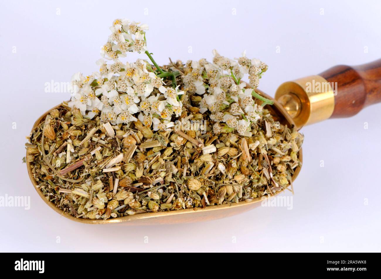 Dried yarrow hi-res stock photography and images - Alamy