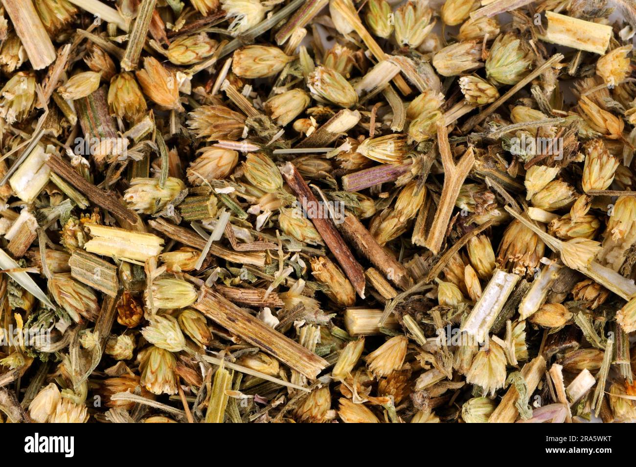 Dried yarrow hi-res stock photography and images - Alamy