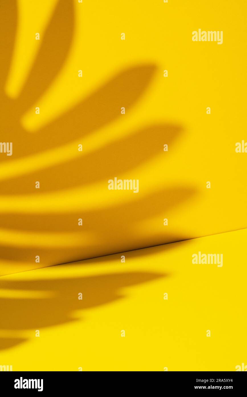Yellow background mockup, template with tropical palm plant leaf shadow ...