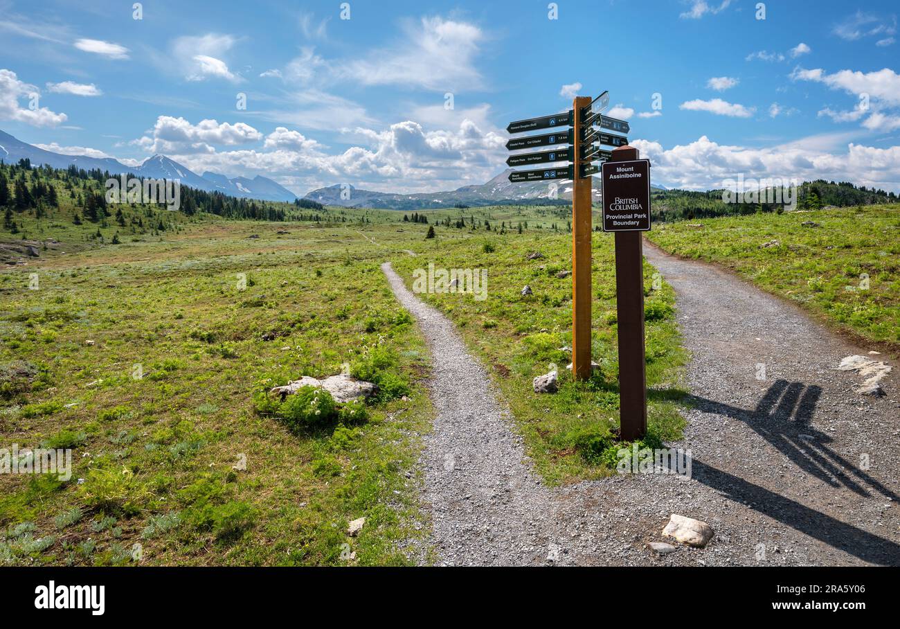 Trail post on the boundary of Mount Assiniboine Provincial Park ...