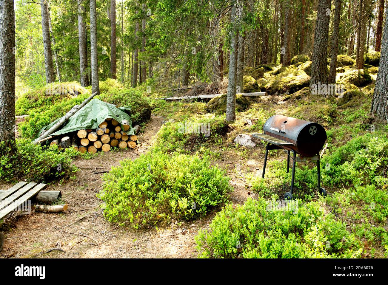 Bergslagen forest hi-res stock photography and images - Alamy