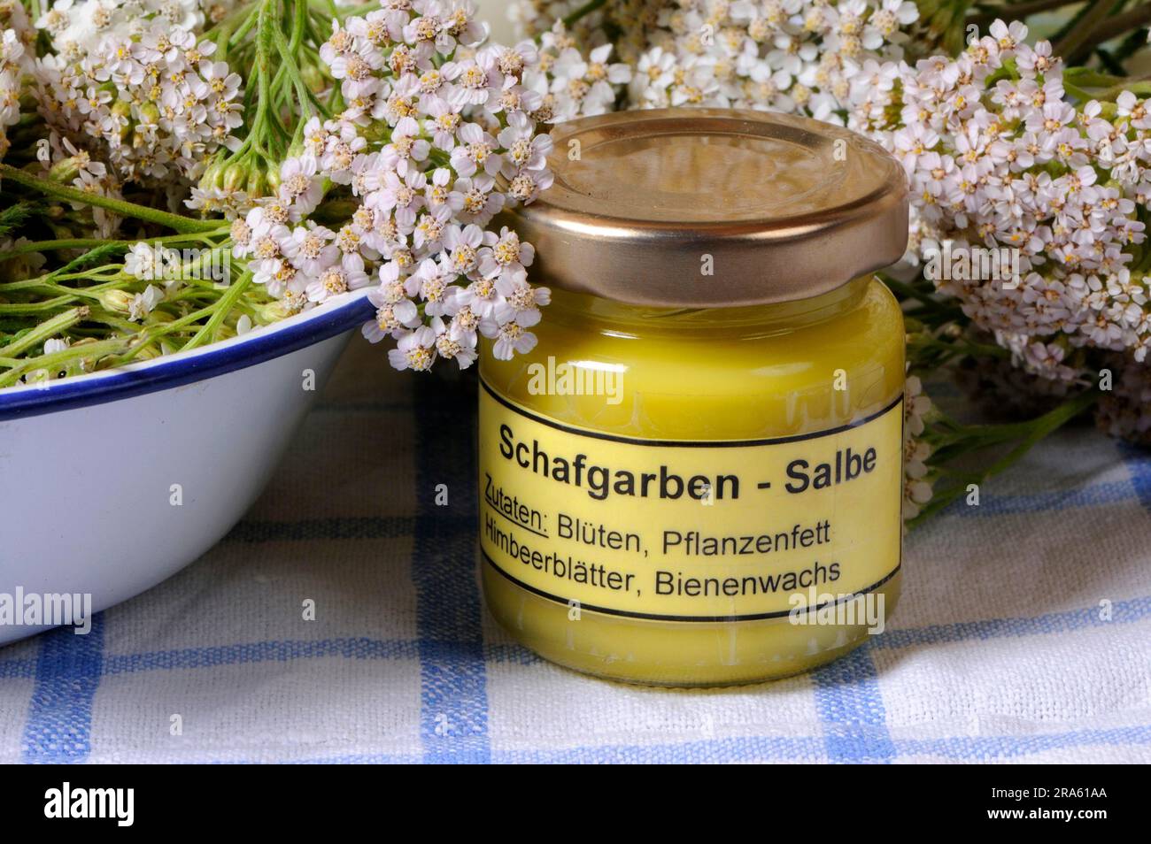 (Achillea millefolium), yarrow ointment, yarrow ointment Stock Photo ...