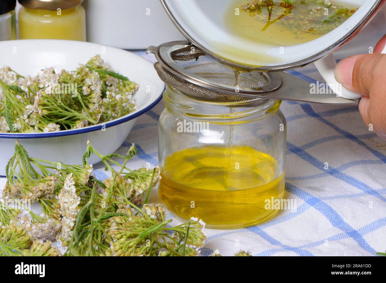 Production yarrow ointment (Achillea millefolium), yarrow ointment ...