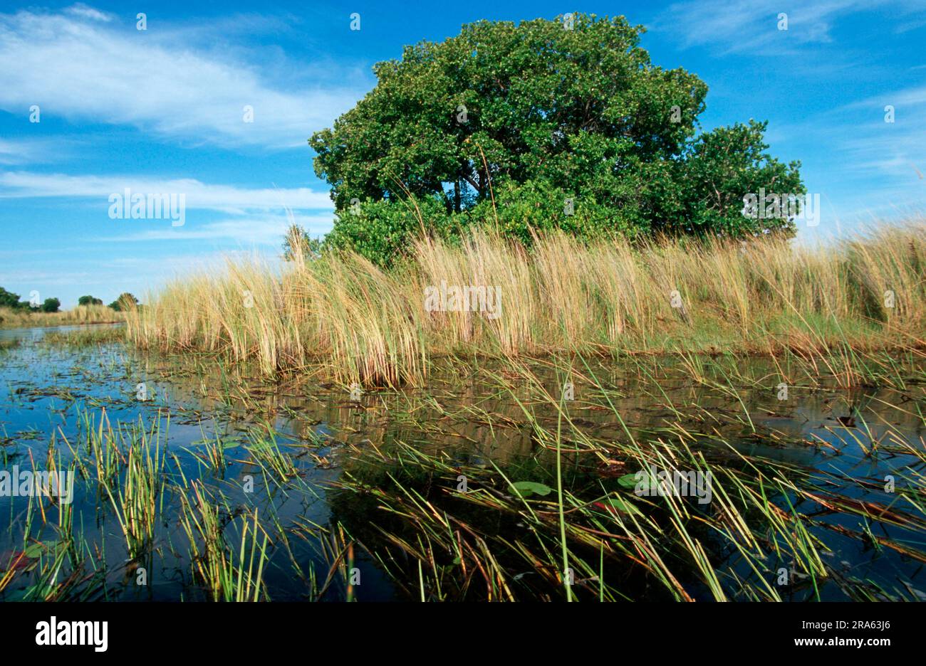 Okavango inland delta hi-res stock photography and images - Alamy
