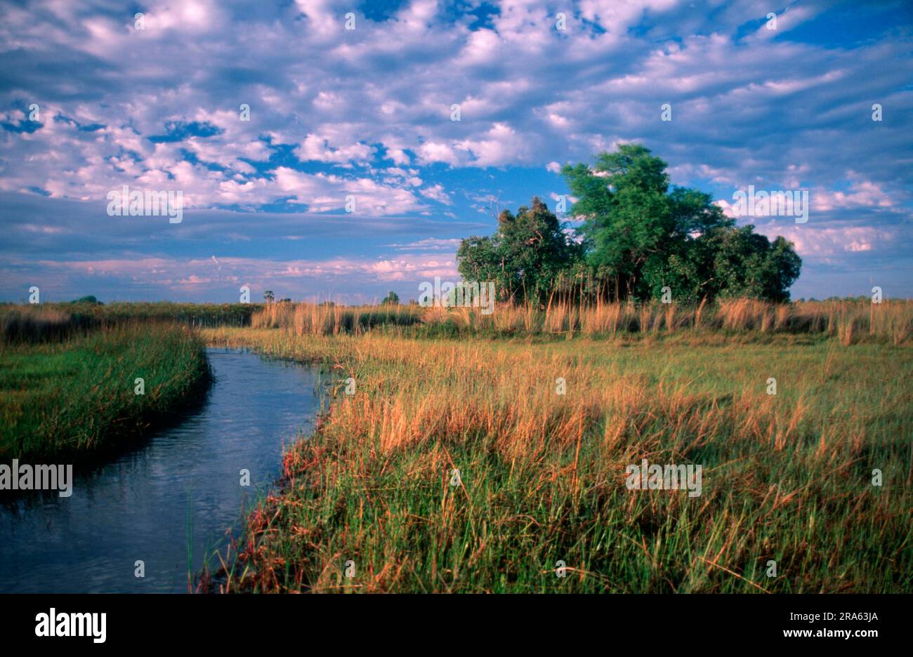 Okavango inland delta hi-res stock photography and images - Alamy