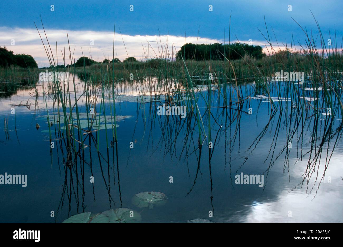 Okavango inland delta hi-res stock photography and images - Alamy