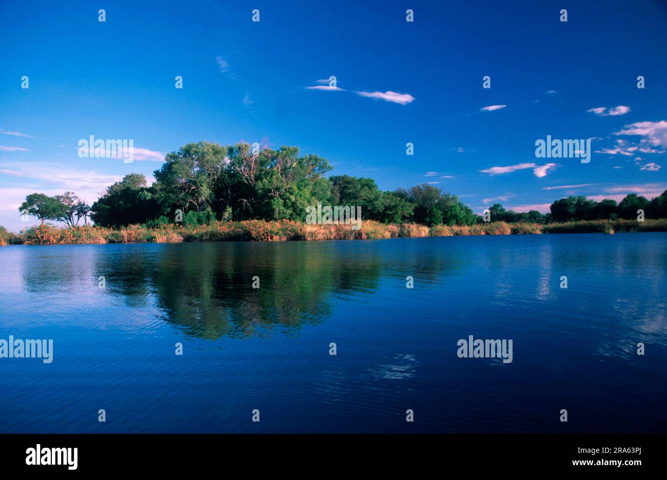 Okavango inland delta hi-res stock photography and images - Alamy