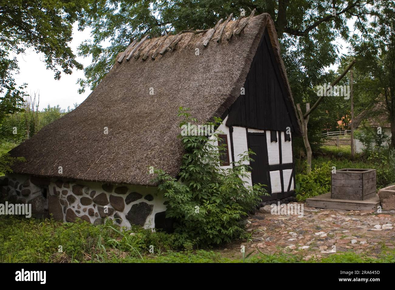 Reed-roofed house, Den Fynske Landsby open-air museum, Odense, Denmark ...