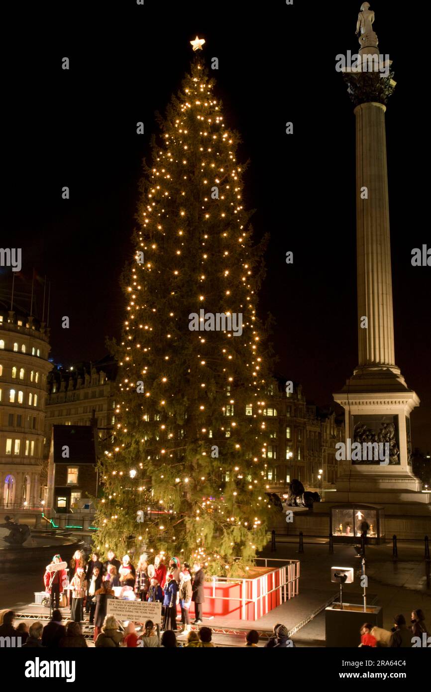 Christmas tree, Admiral Lord Nelson column, Trafalgar Square, London ...