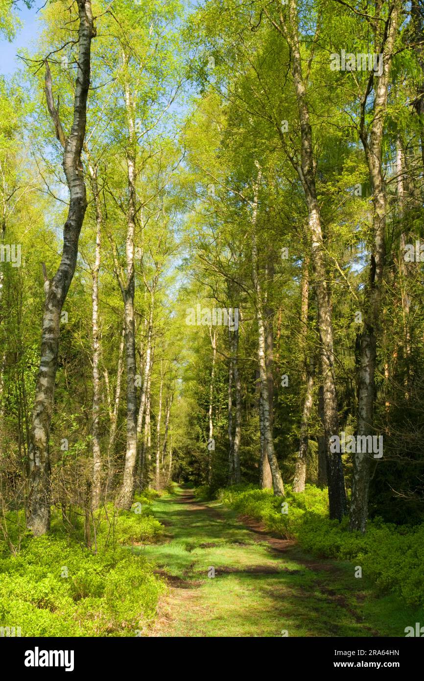 Hiking Trail nature Park Eggegebirge and Southern Teutoburg Forest ...