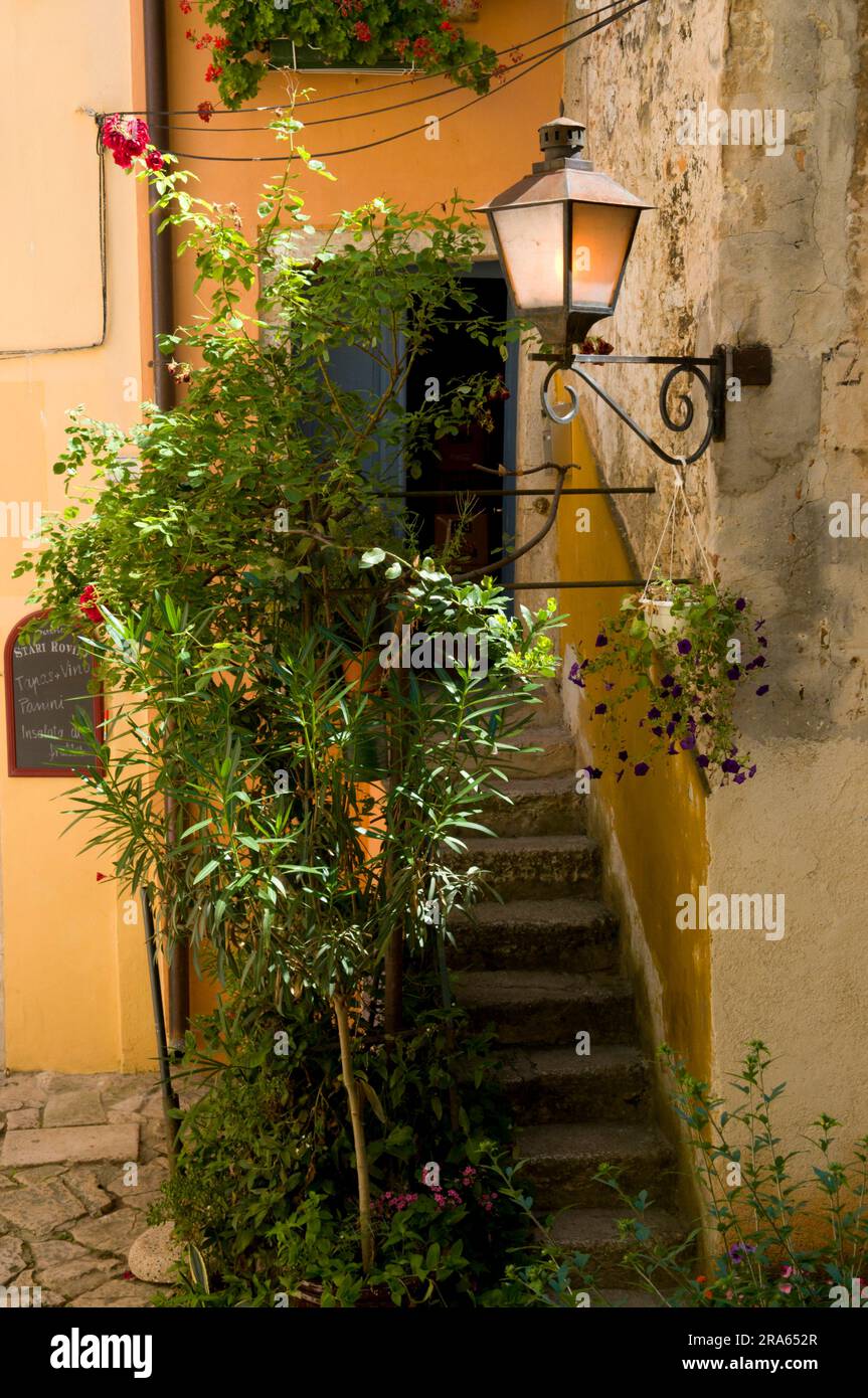Stairs to front door, Old Town, Rovinj, Istria, Croatia Stock Photo - Alamy