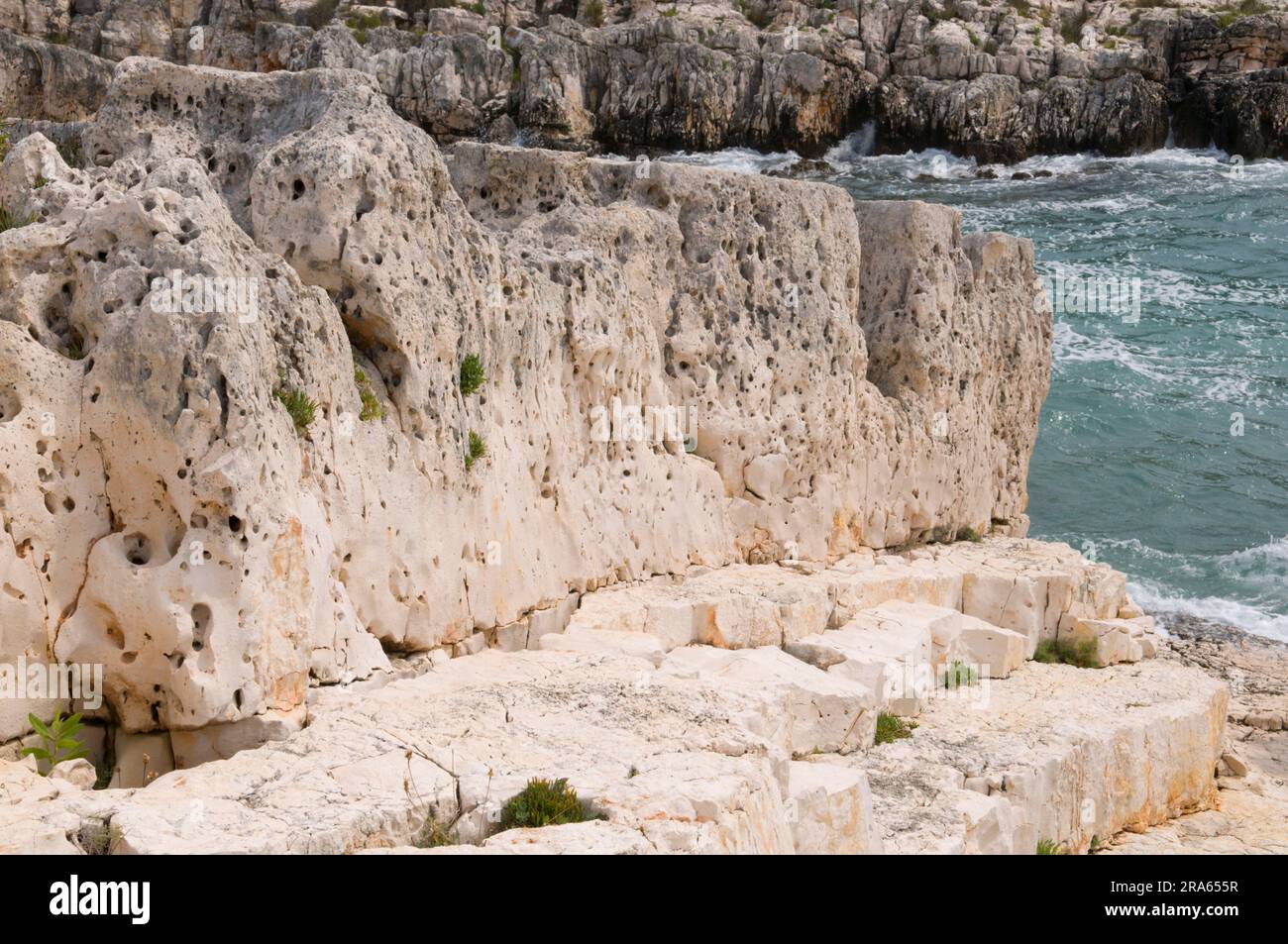 Rocky coast, Rt, Cape Kamenjak nature Park, Istria, Croatia Stock Photo ...