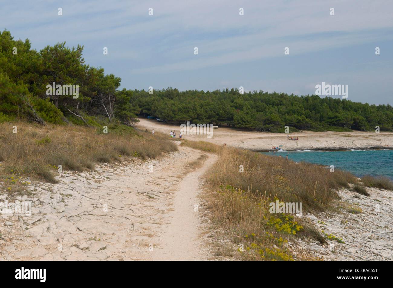 Hiking trail, Rt, Cape Kamenjak nature Park, Istria, Croatia Stock ...