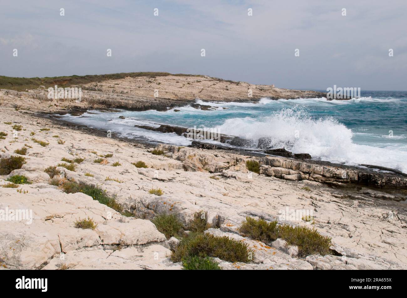 Rocky coast, Rt, Cape Kamenjak nature Park, Istria, Croatia Stock Photo ...