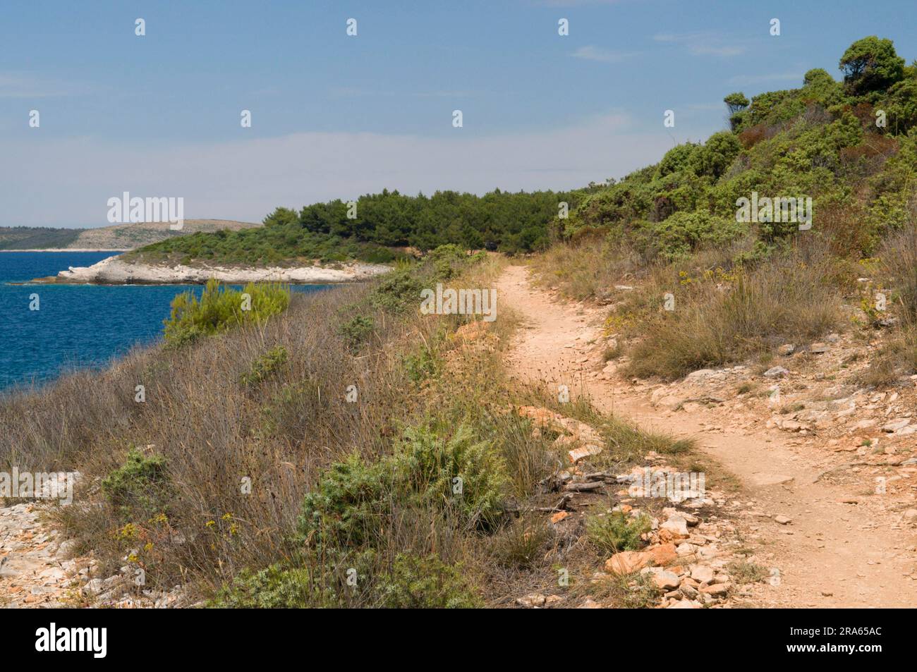 Hiking trail, Rt, Cape Kamenjak nature Park, Istria, Croatia Stock ...