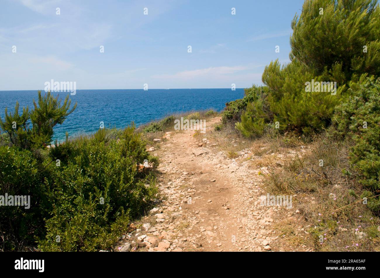 Hiking trail, Rt, Cape Kamenjak nature Park, Istria, Croatia Stock ...