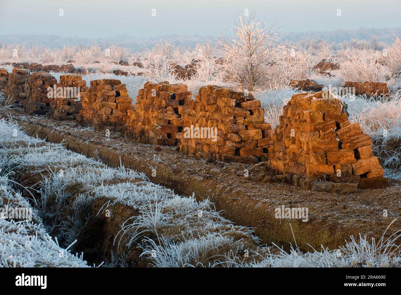 Stacked peat, Goldenstedter Moor, Lower Saxony, Germany Stock Photo - Alamy