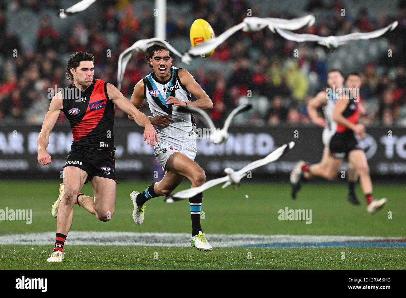 Melbourne, Australia. 01st July, 2023. Sam Durham of Essendon and Jase ...