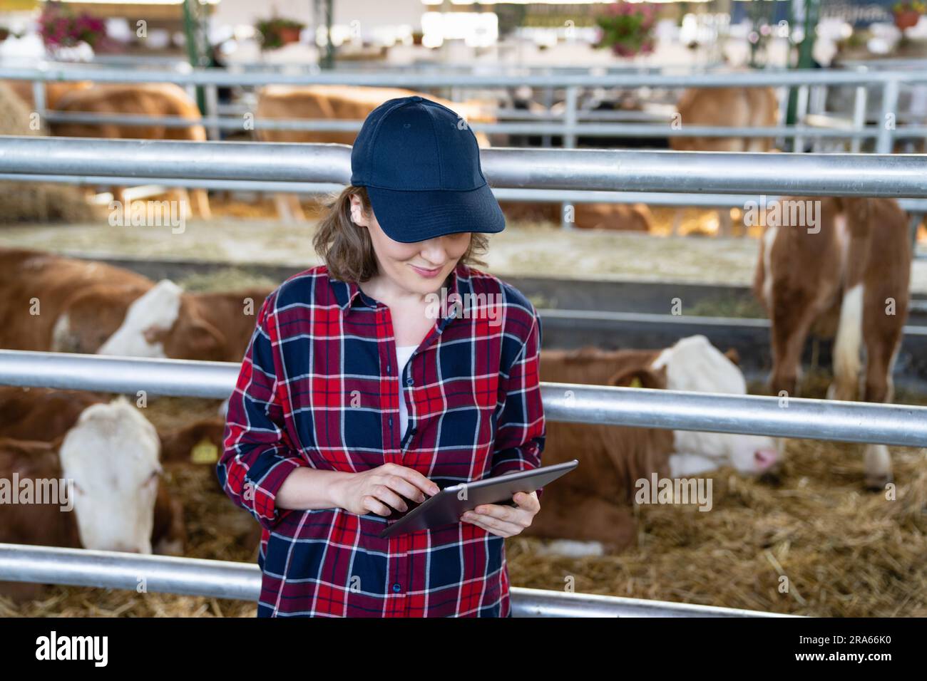 Dairy farmer hi-res stock photography and images - Alamy