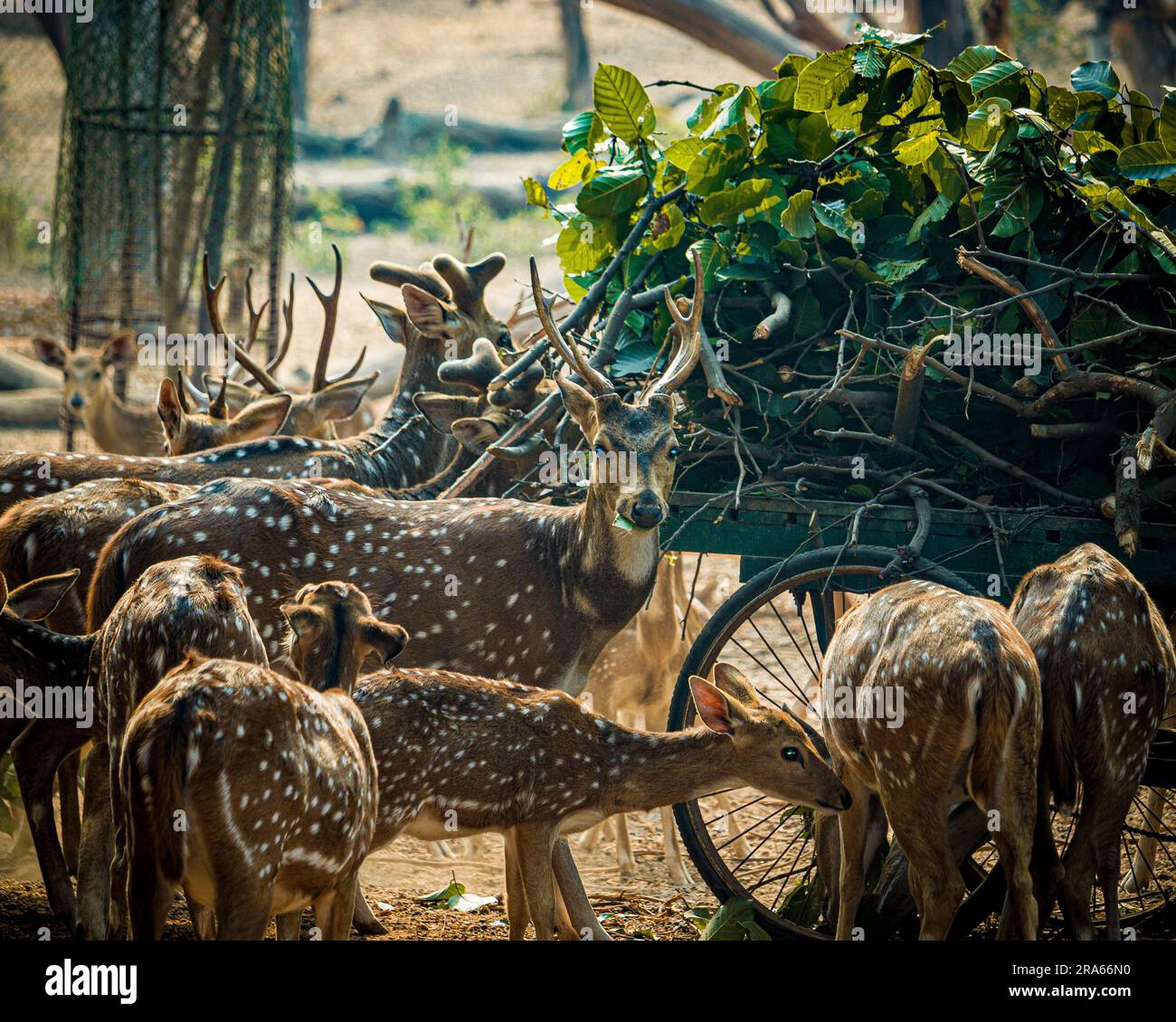 Lunchtime dining hi-res stock photography and images - Alamy