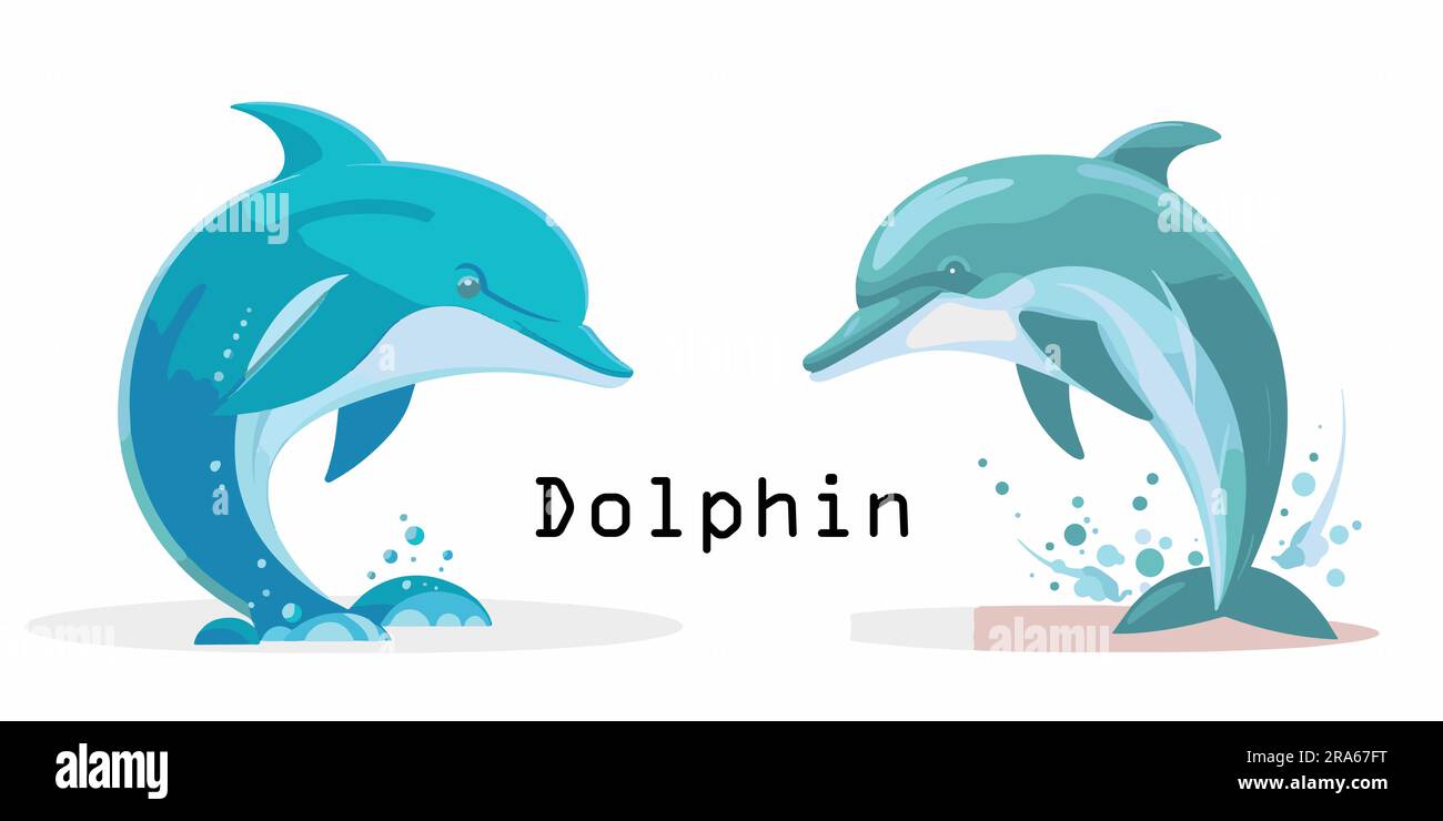 A set of flat dolphin vector illustration Stock Vector Image & Art - Alamy