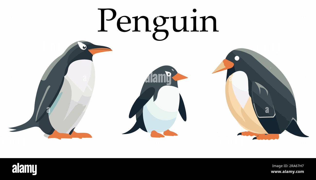 A set of flat penguin vector illustration Stock Vector Image & Art - Alamy