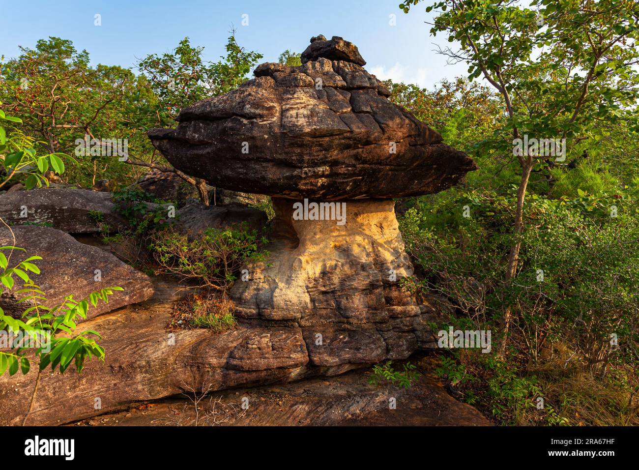 The morning sun shines on the many large, beautiful rocks that line the ...