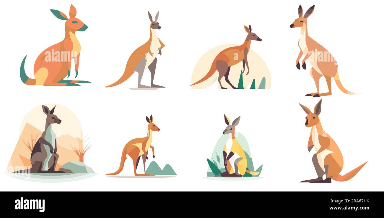 A set of Flat Kangaroo vector illustration Stock Vector Image & Art - Alamy