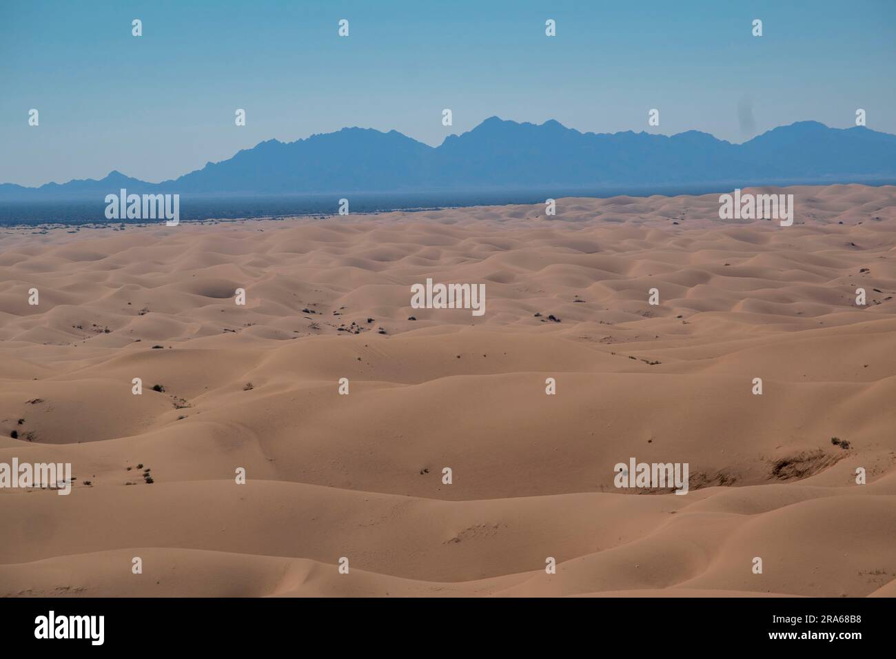 The Imperial Sand Dunes are the largest mass of sand dunes in the state ...