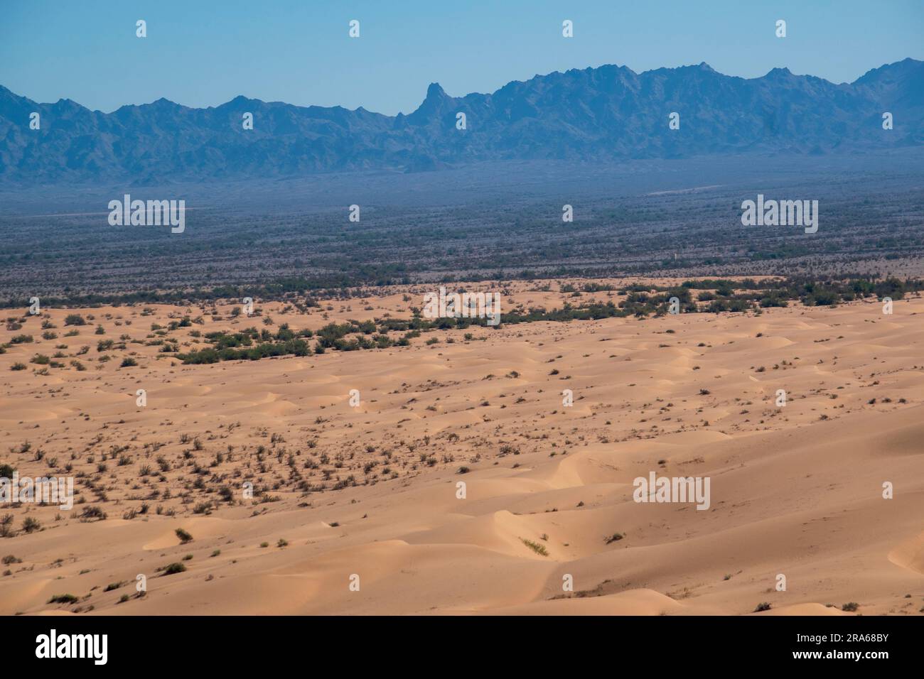 The Imperial Sand Dunes are the largest mass of sand dunes in the state ...