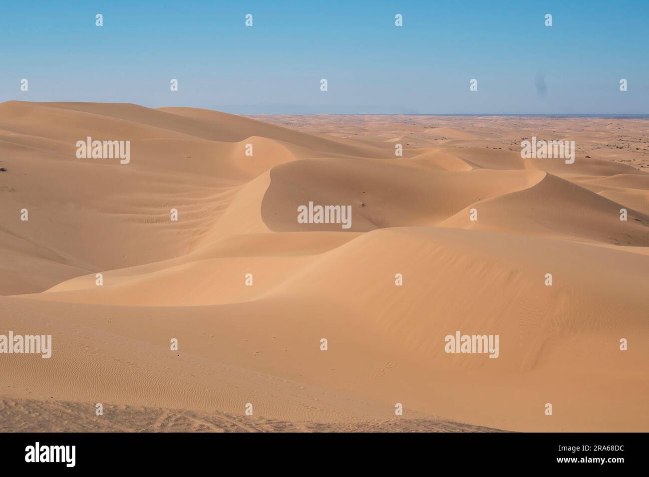 The Imperial Sand Dunes are the largest mass of sand dunes in the state ...