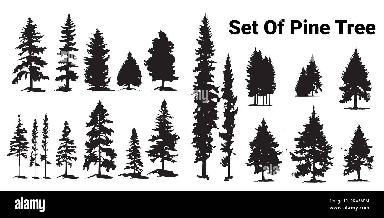 A set of Silhouette Pine tree vector illustration Stock Vector Image ...