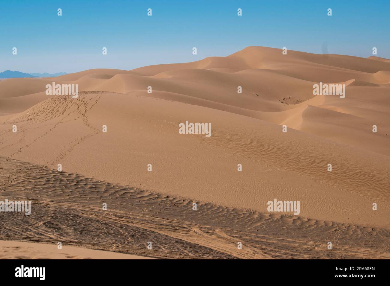 The Imperial Sand Dunes are the largest mass of sand dunes in the state ...