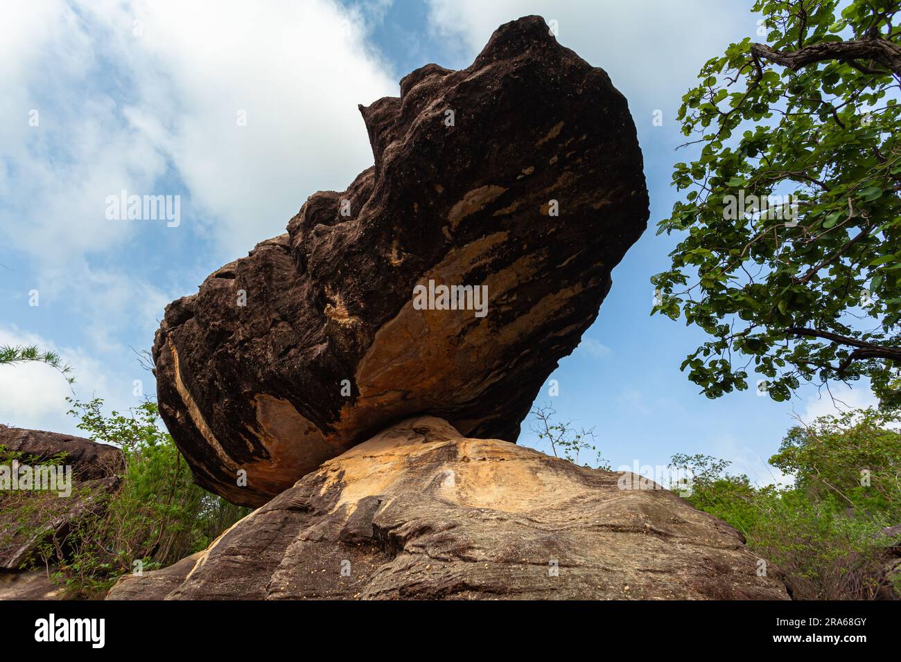 The morning sun shines on the many large, beautiful rocks that line the ...