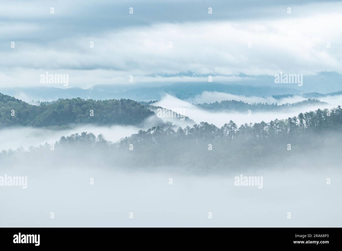 Morning condensation and heavy fog over Great Smoky Mountains National ...