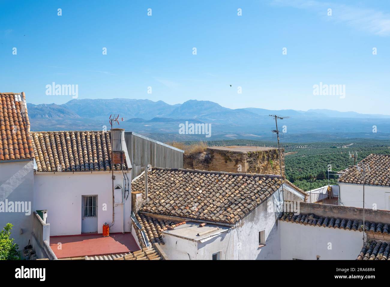 Magina