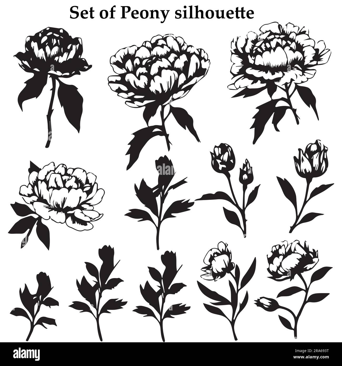 A set of peony silhouette vector illustration Stock Vector Image & Art ...