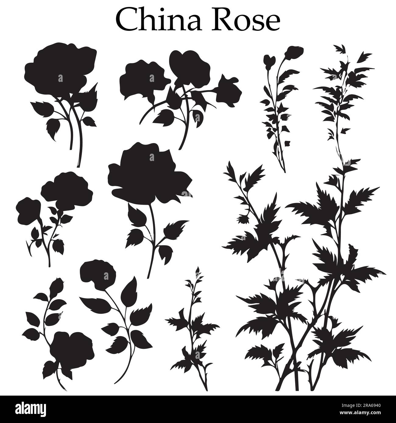 A set of black China Rose flower vector collection Stock Vector Image ...