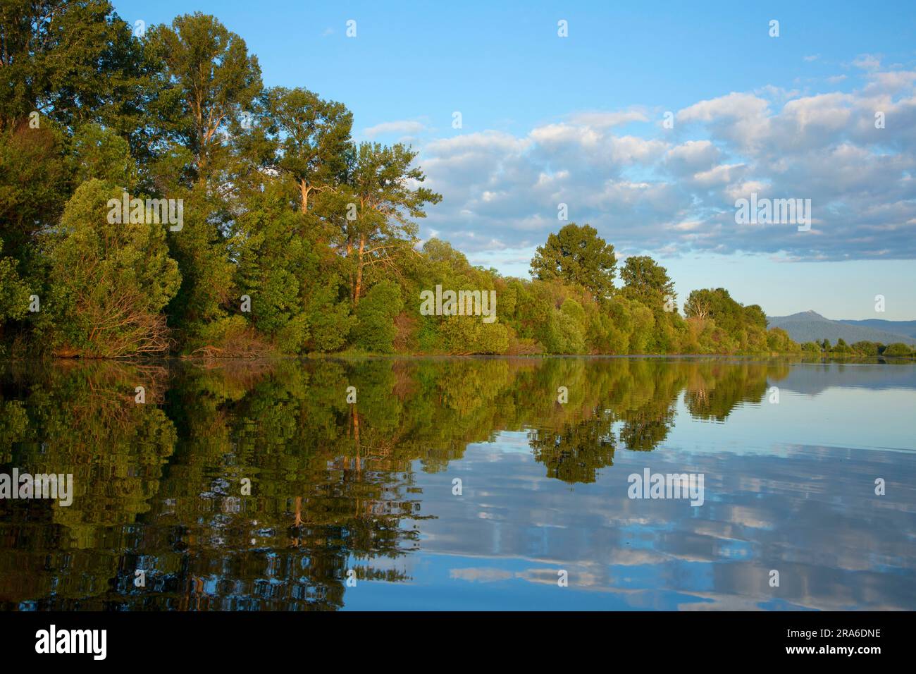 Slough reflections in Wood River wetlands, Wood River Wetland, Klamath ...