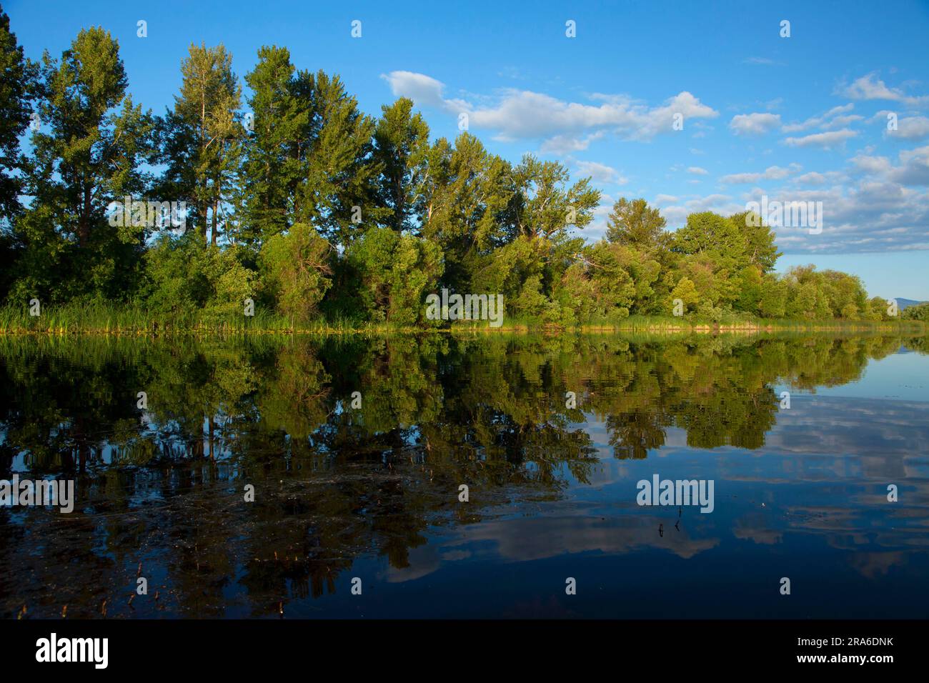 Slough reflections in Wood River wetlands, Wood River Wetland, Klamath ...