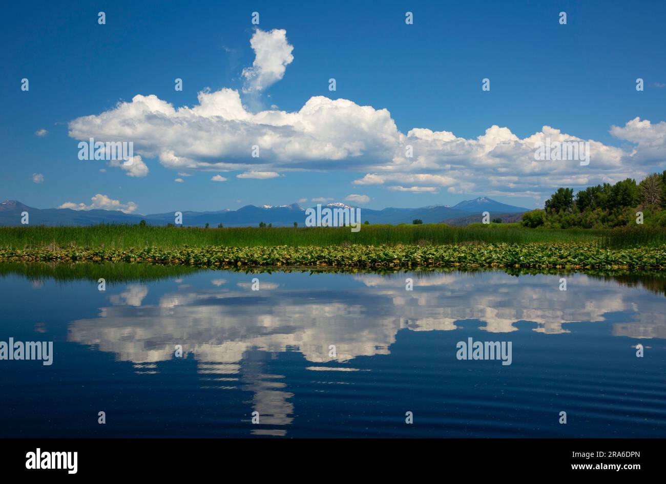 Wood River wetlands, Wood River Wetland, Klamath Falls District Bureau ...