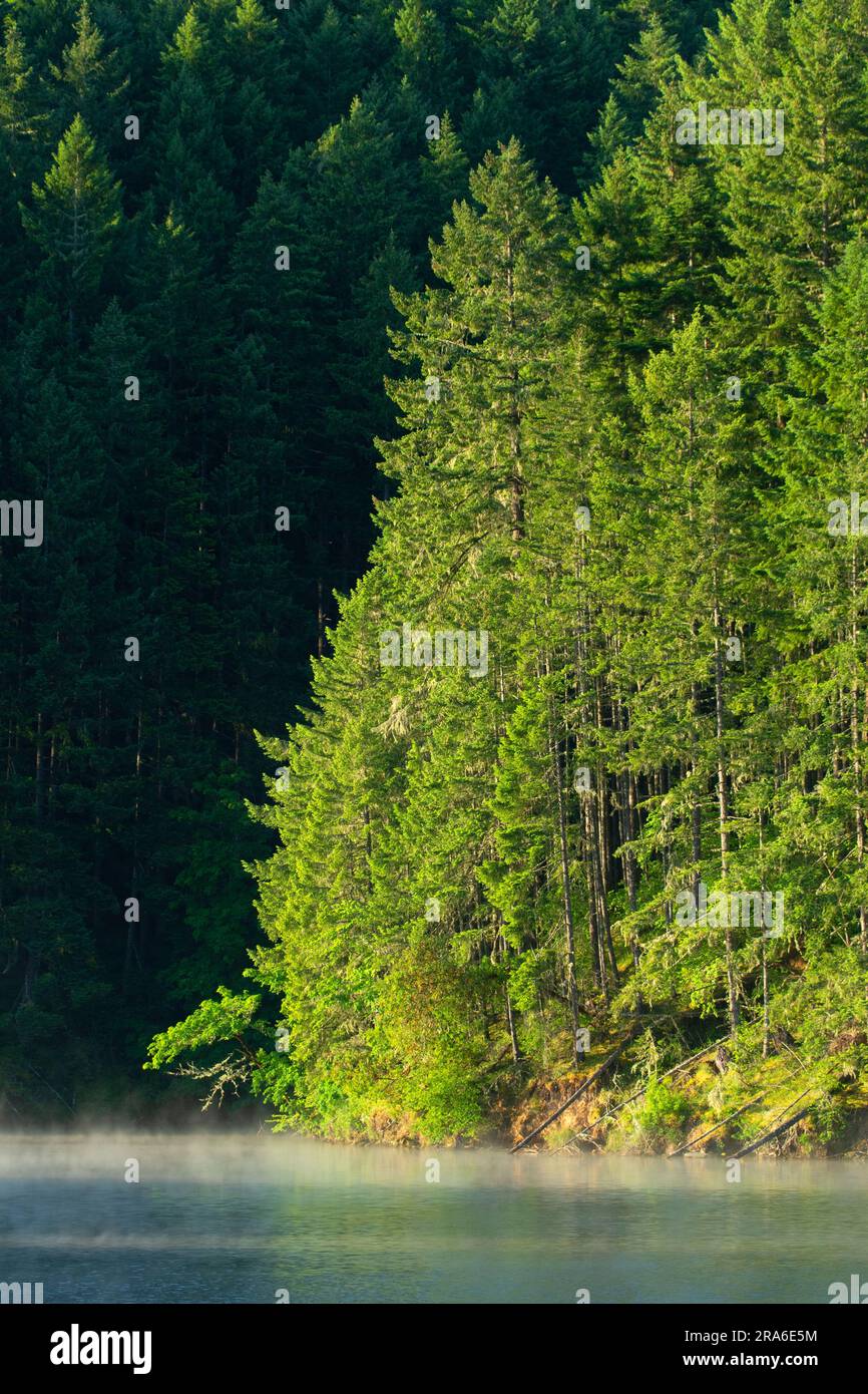 Cooper Creek Reservoir, Cooper Creek County Park, Sutherlin, Oregon ...
