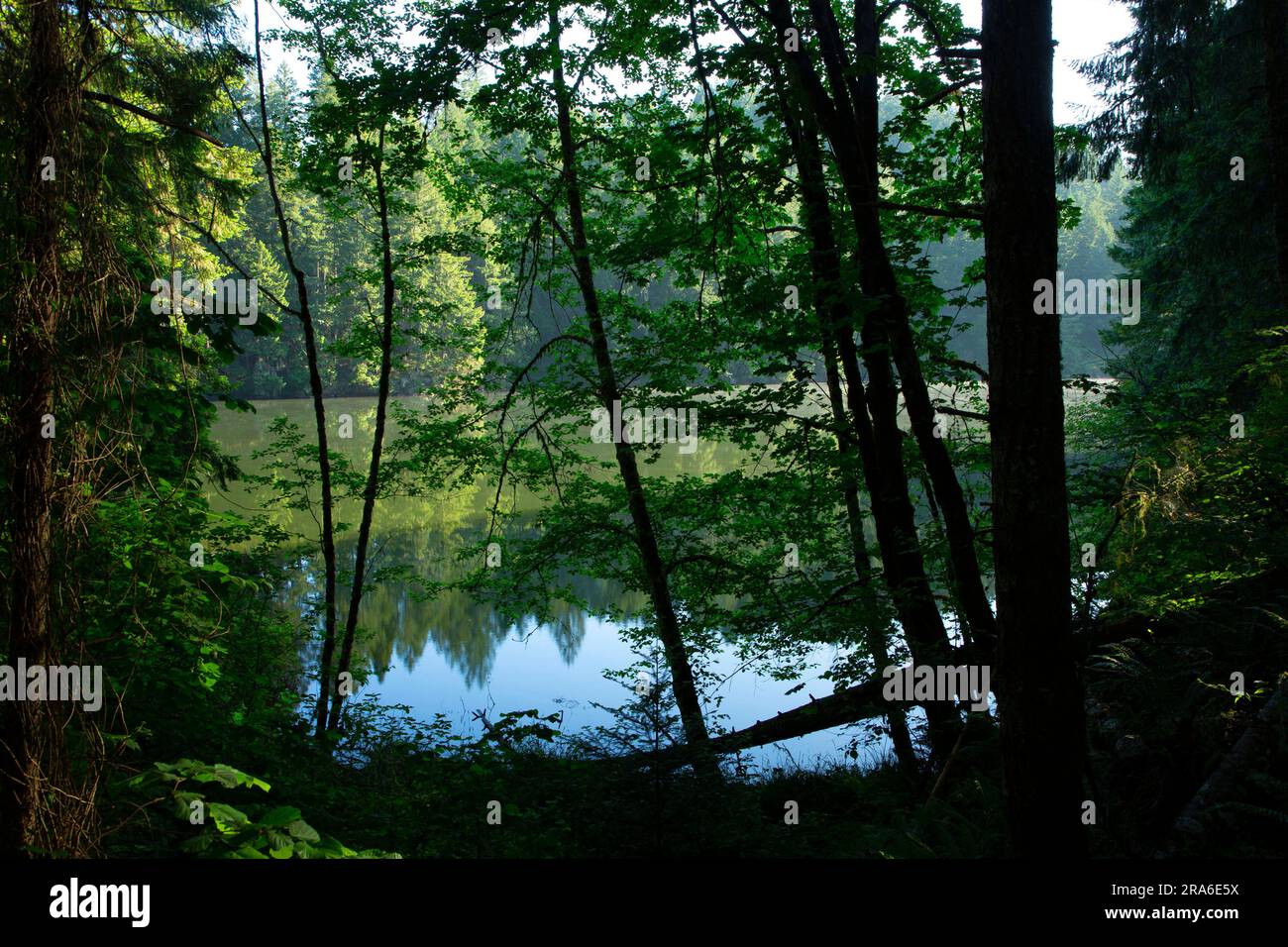 Cooper Creek Reservoir, Cooper Creek County Park, Sutherlin, Oregon ...