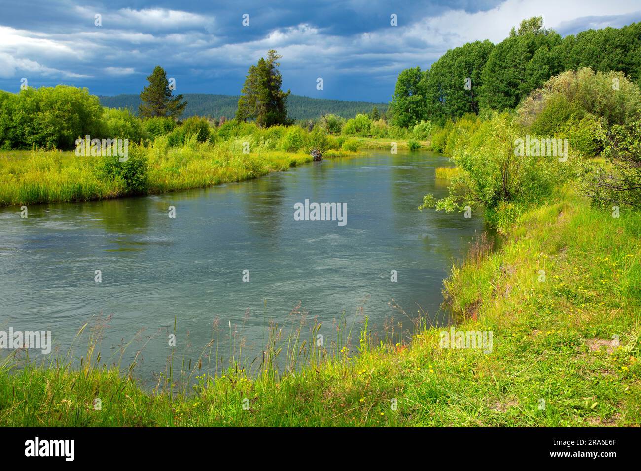 Winema national forest hi-res stock photography and images - Alamy